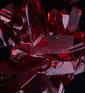 株式会社 Abrax Japan - エイブラックスジャパン バイオベンチャー