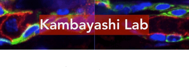 株式会社 Abrax Japan - エイブラックスジャパン バイオベンチャー